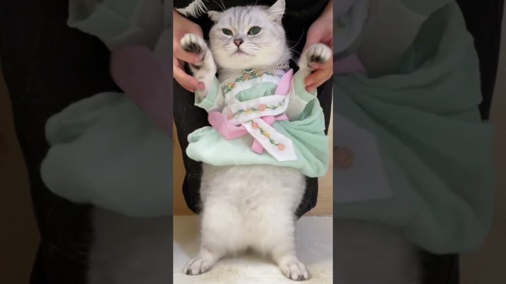 Basic skills of hula dancing practice. #foryou #cute #funnyshorts # ...